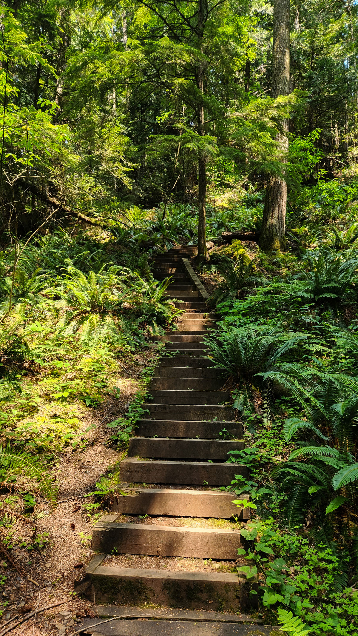 Nature Scapes Photography - That Girl Roams