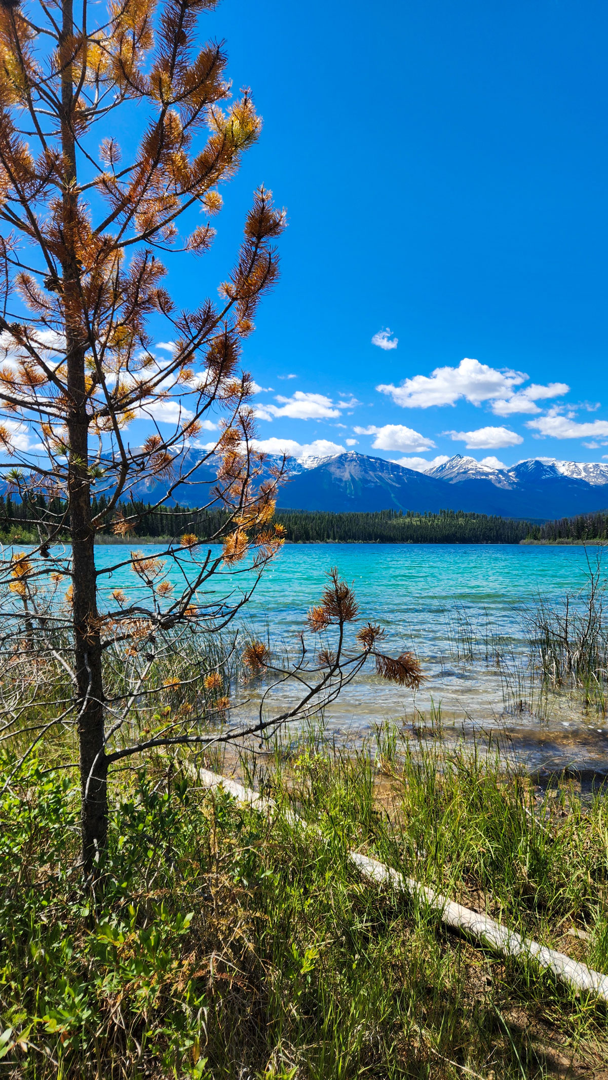 7 of Jasper's Best Lakes and Waterfalls - That Girl Roams